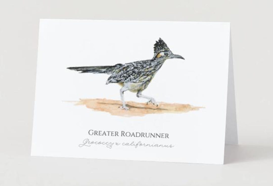 Blank Greater Roadrunner Watercolor Greeting Card - Etsy