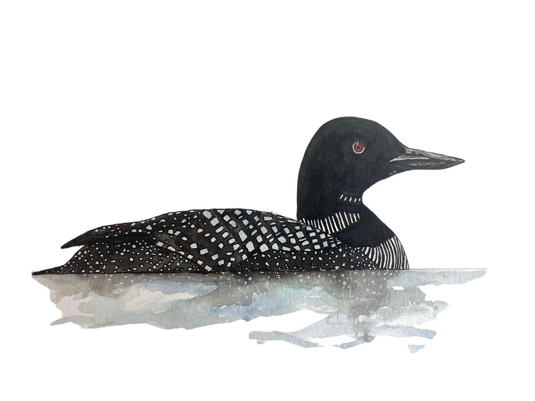 Common Loon Watercolor Painting Digital Download - Etsy