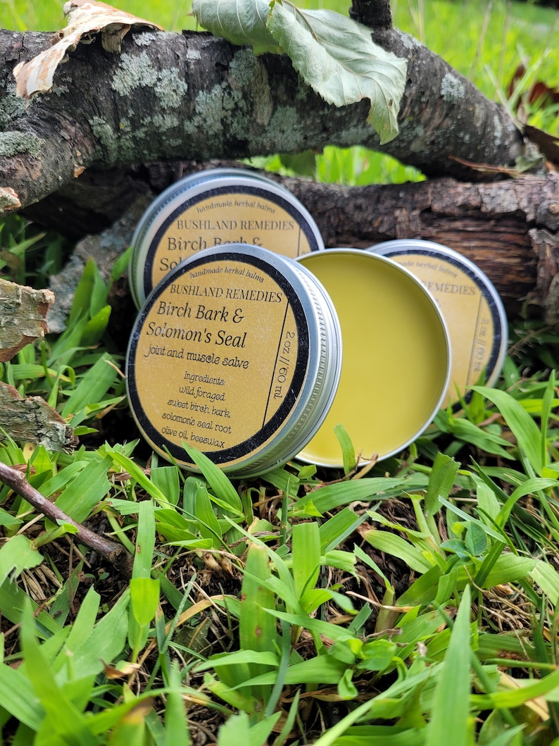 Wild Foraged Birch Bark and Solomon's Seal Salve - Etsy