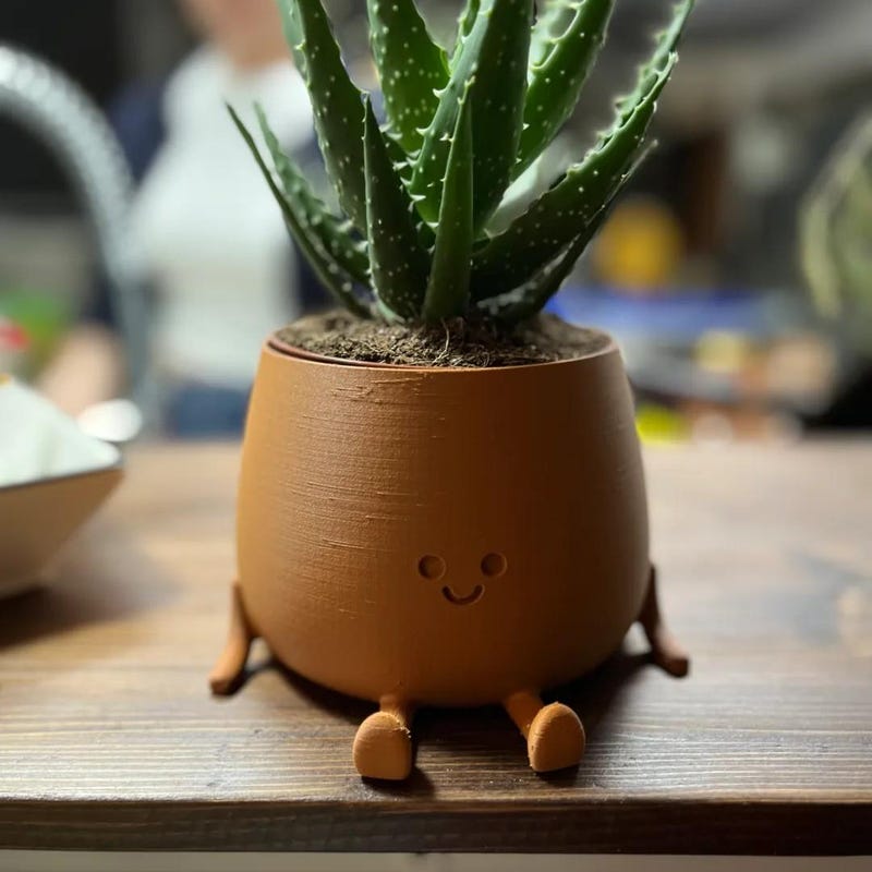 Face Pot - Etsy