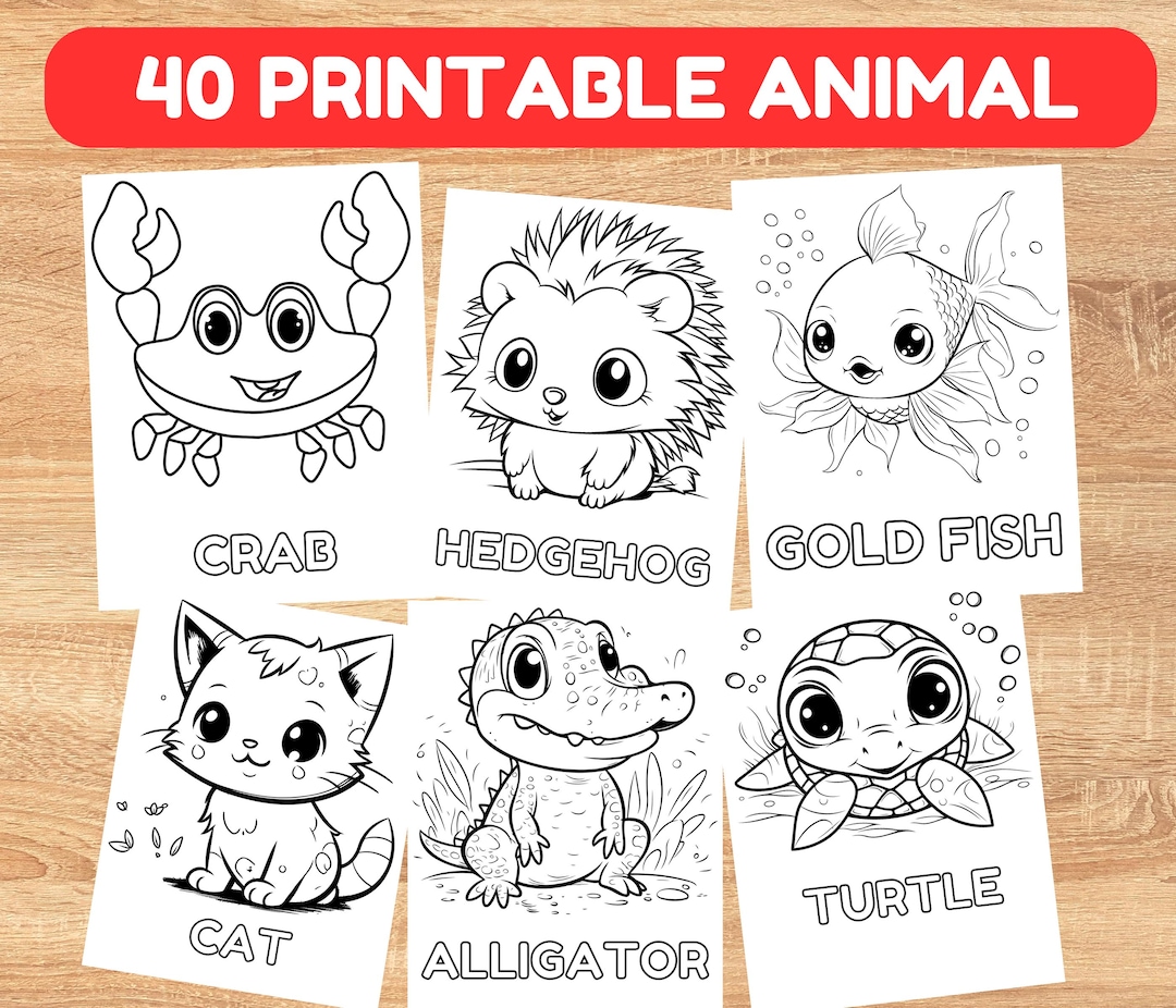 40 Animal Coloring Pages for Toddlers, Preschoolers (digital Download ...