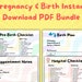 Pregnancy Planner Printable, Baby Essentials Checklist, Hospital ...
