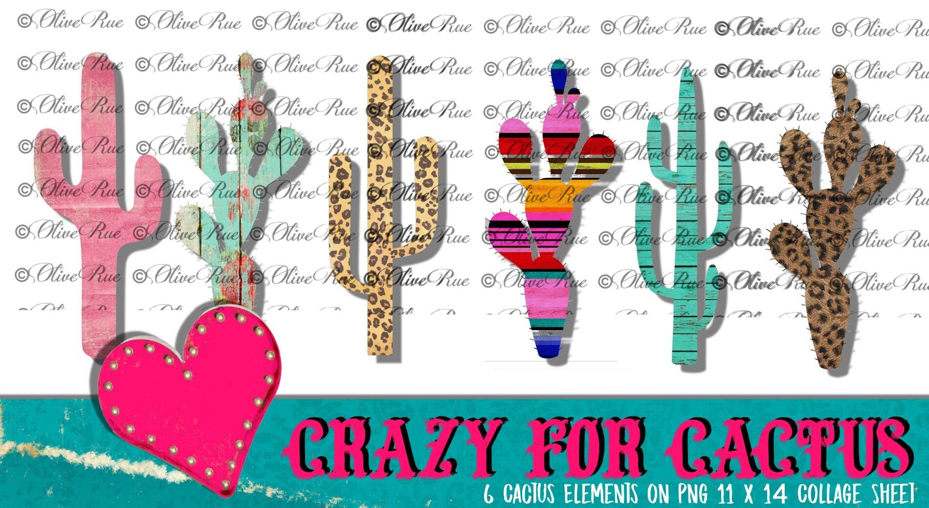 Digital Download Funky Cactus Patterns Clip Art Elements - Etsy