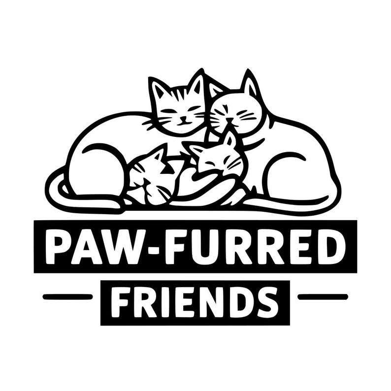 Cats Playing SVG - Etsy