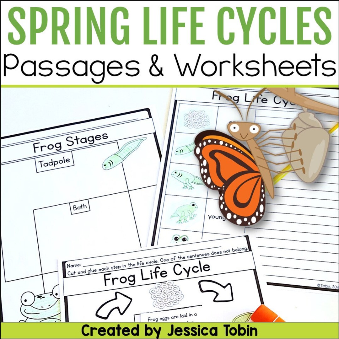 Frog, Chicken, Butterfly Life Cycle Worksheet & Passages - Spring ...