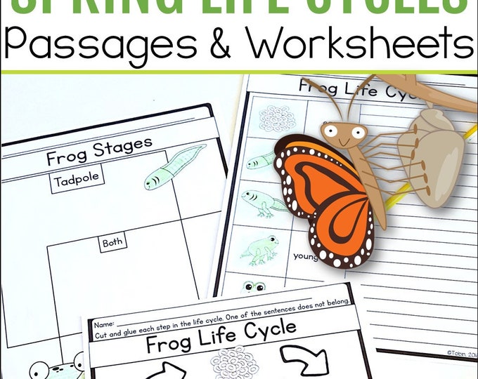 Life Cycle of ANIMAL, Bee, Butterfly, Chicken, Frog - Etsy Canada