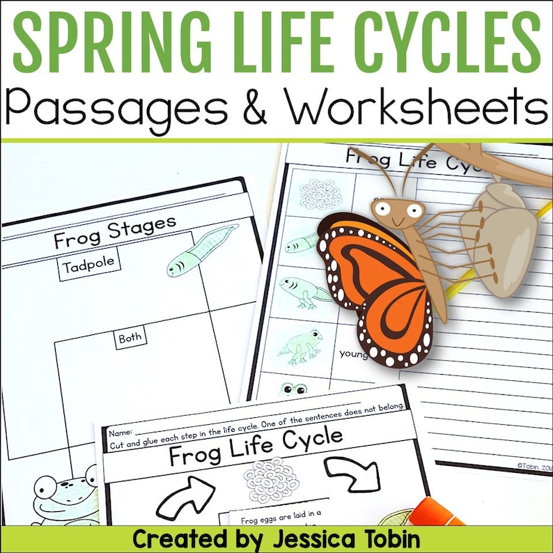 Frog, Chicken, Butterfly Life Cycle Worksheet & Passages - Spring ...