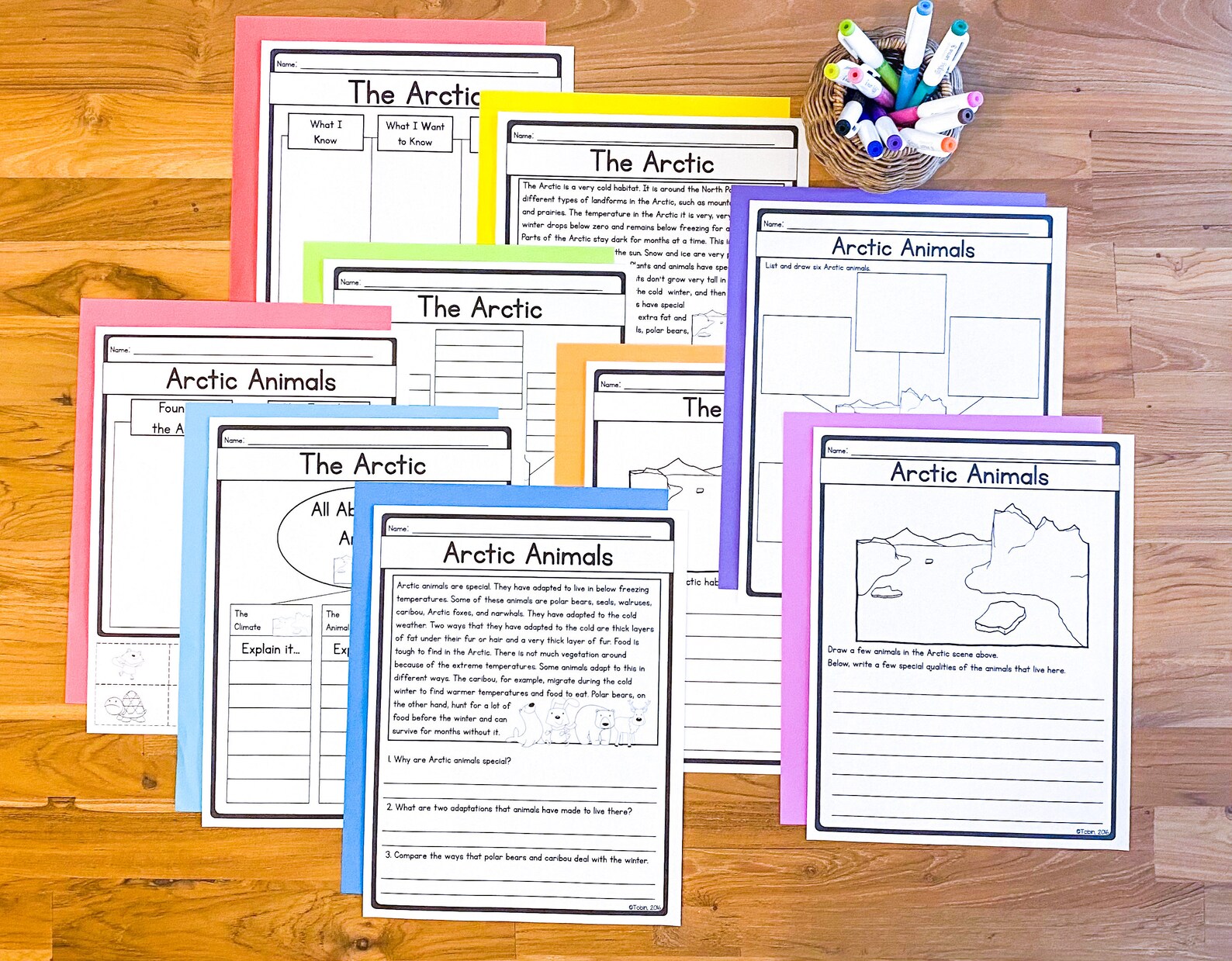 Habitats Worksheets and Reading Passages and Review, Animal Habitats ...