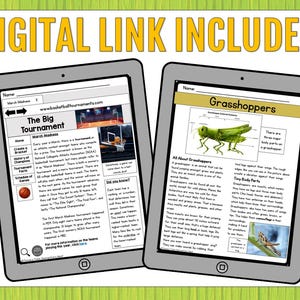 Spring Reading Comprehension Passages and Question 2nd 3rd Grade Text ...