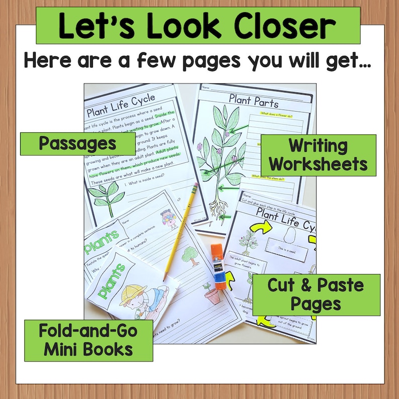 Plants, Plant Life Cycle, Parts of a Plant, Plant Needs - Plant Science ...