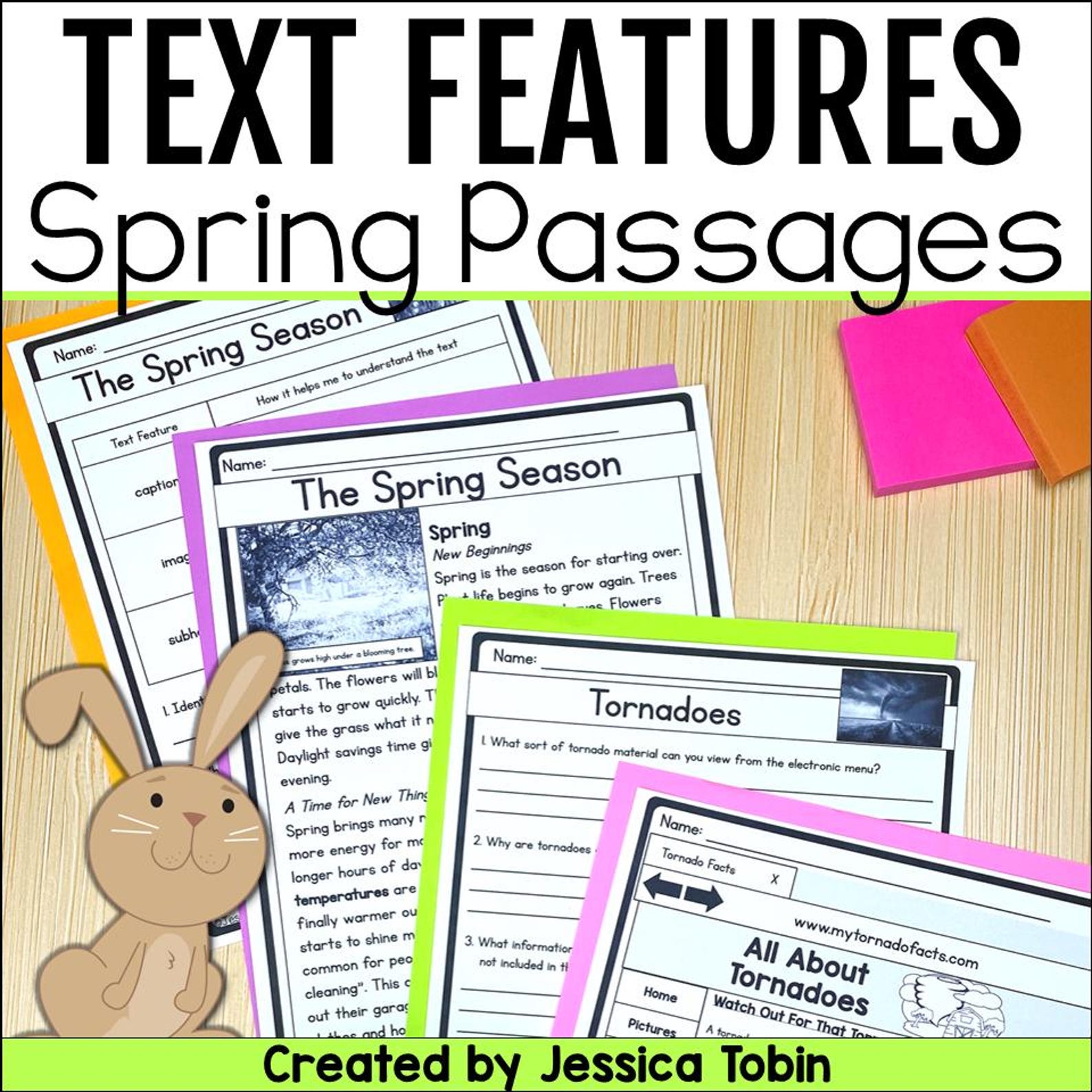 Spring Reading Comprehension Passages and Question 2nd 3rd Grade Text ...