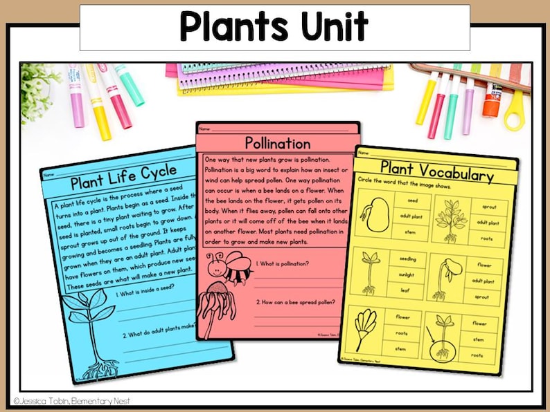 Plants, Plant Life Cycle, Parts of a Plant, Plant Needs - Plant Science ...