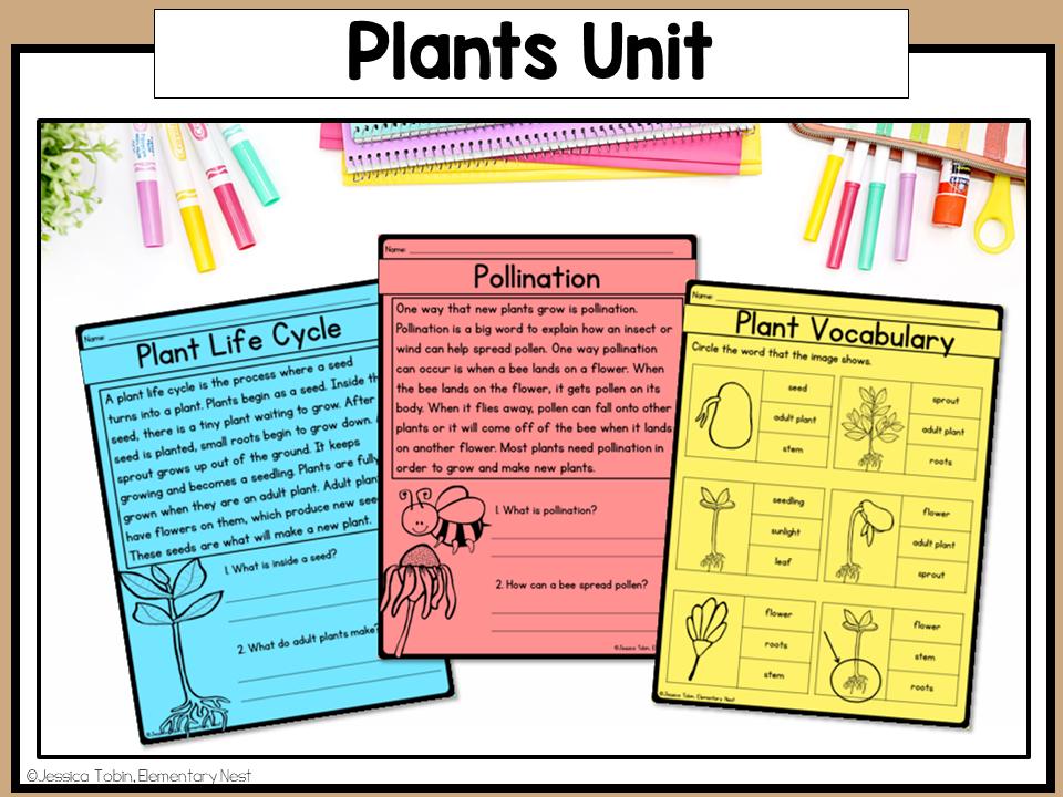 Plant Science Unit: Plant Life Cycle & Parts Reading Passages (PDF ...