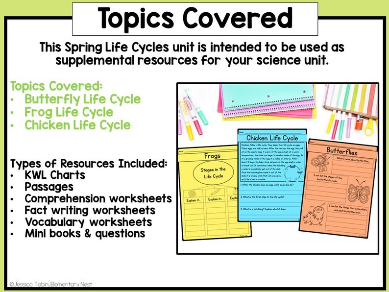 Frog, Chicken, Butterfly Life Cycle Worksheet & Passages - Spring ...
