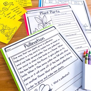 Plants, Plant Life Cycle, Parts of a Plant, Plant Needs - Plant Science ...