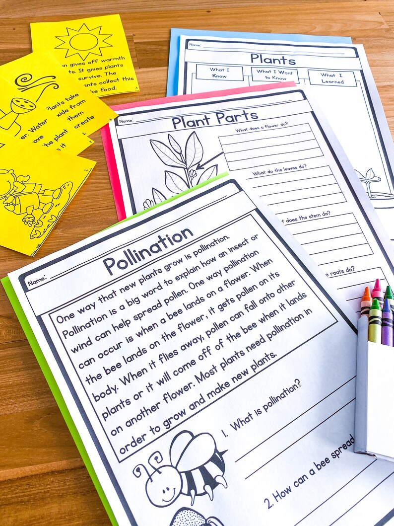 Plants, Plant Life Cycle, Parts of a Plant, Plant Needs - Plant Science ...