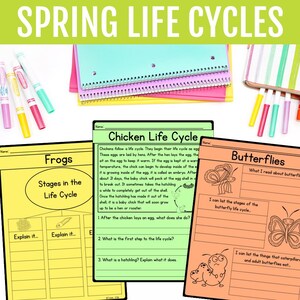 Frog, Chicken, Butterfly Life Cycle Worksheet & Passages - Spring ...