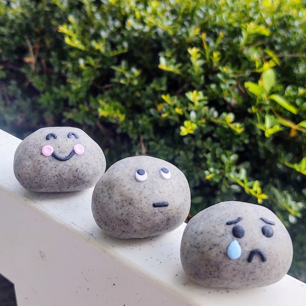 Pet Rock - Etsy