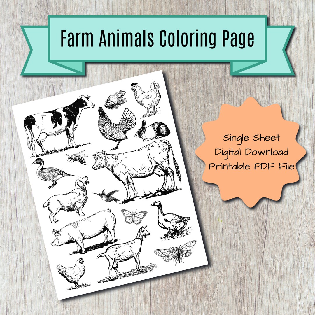 Farm Animals Coloring Page for Adults and Kids I Individual Coloring ...