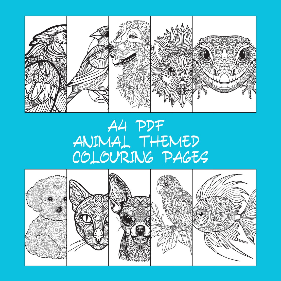 Animal Themed Colouring Pages PDF | 10 Fun Printable Colouring Sheets ...