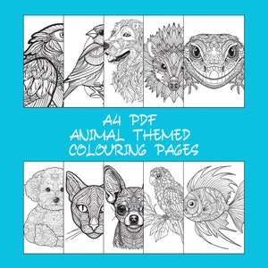 Animal Themed Colouring Pages PDF | 10 Fun Printable Colouring Sheets ...