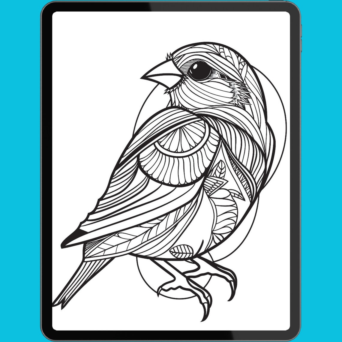 Animal Themed Colouring Pages PDF | 10 Fun Printable Colouring Sheets ...