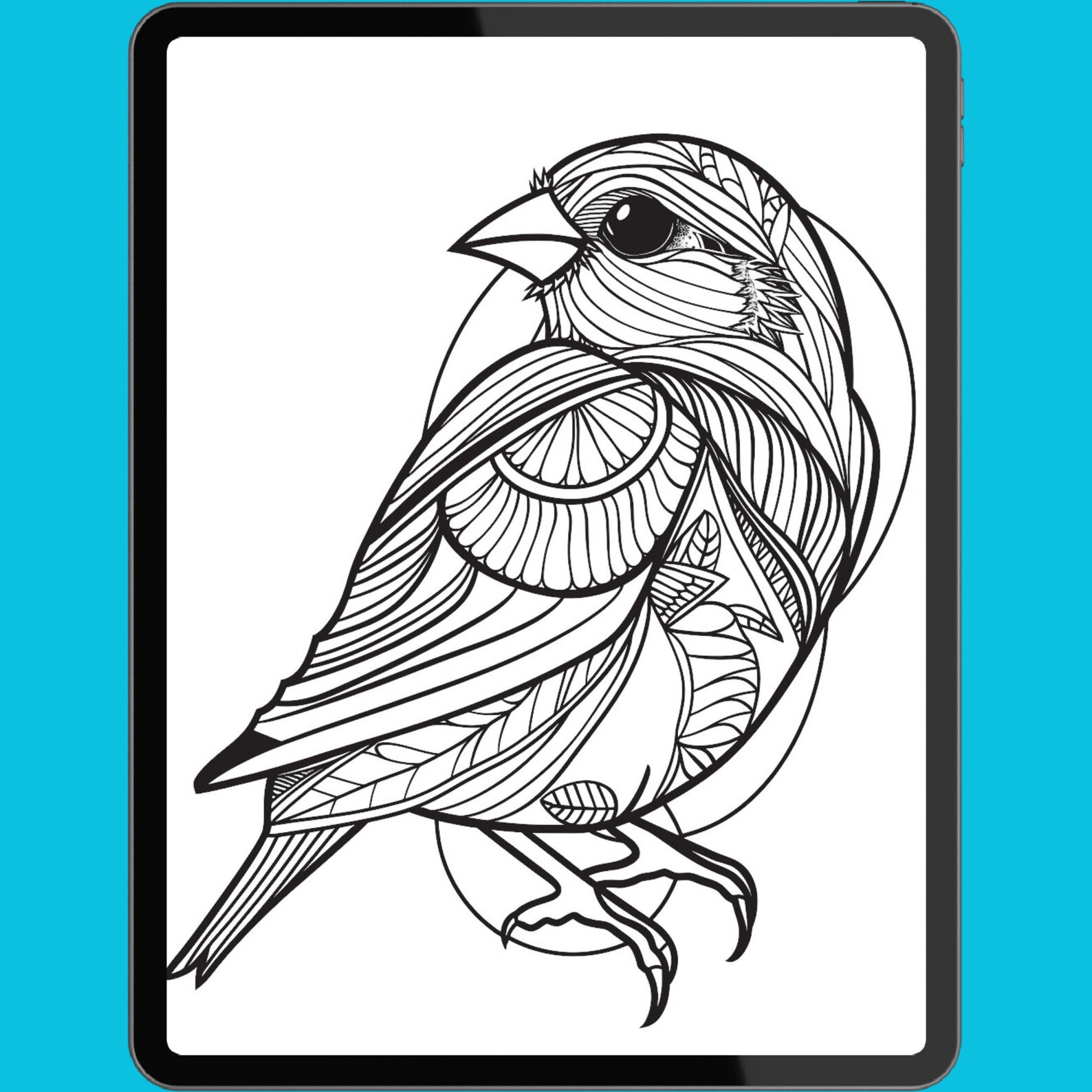 Animal Themed Colouring Pages PDF | 10 Fun Printable Colouring Sheets ...