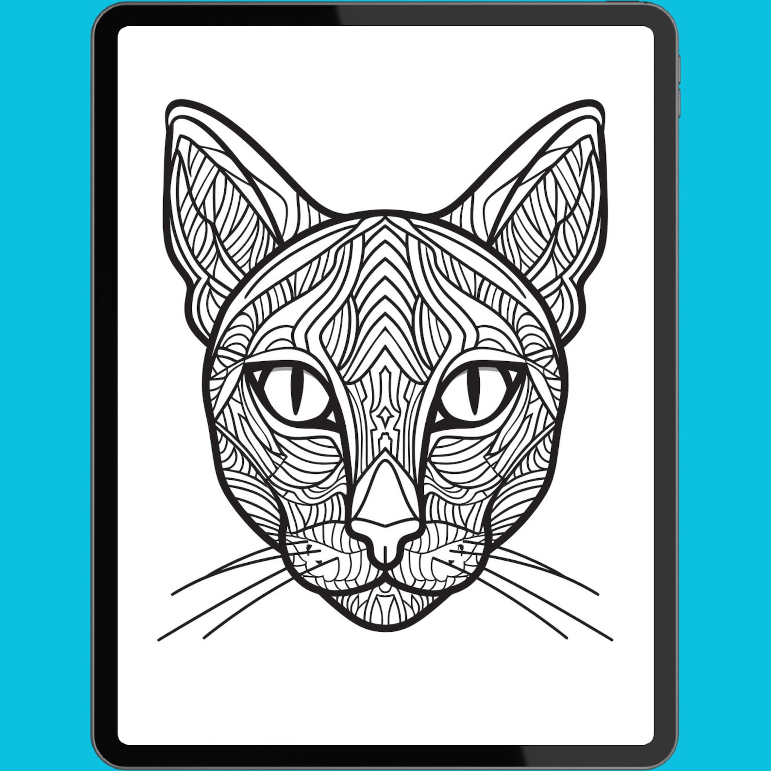 Animal Themed Colouring Pages PDF | 10 Fun Printable Colouring Sheets ...