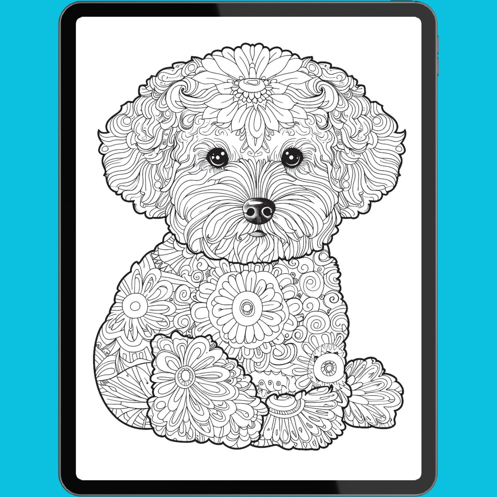 Animal Themed Colouring Pages PDF | 10 Fun Printable Colouring Sheets ...