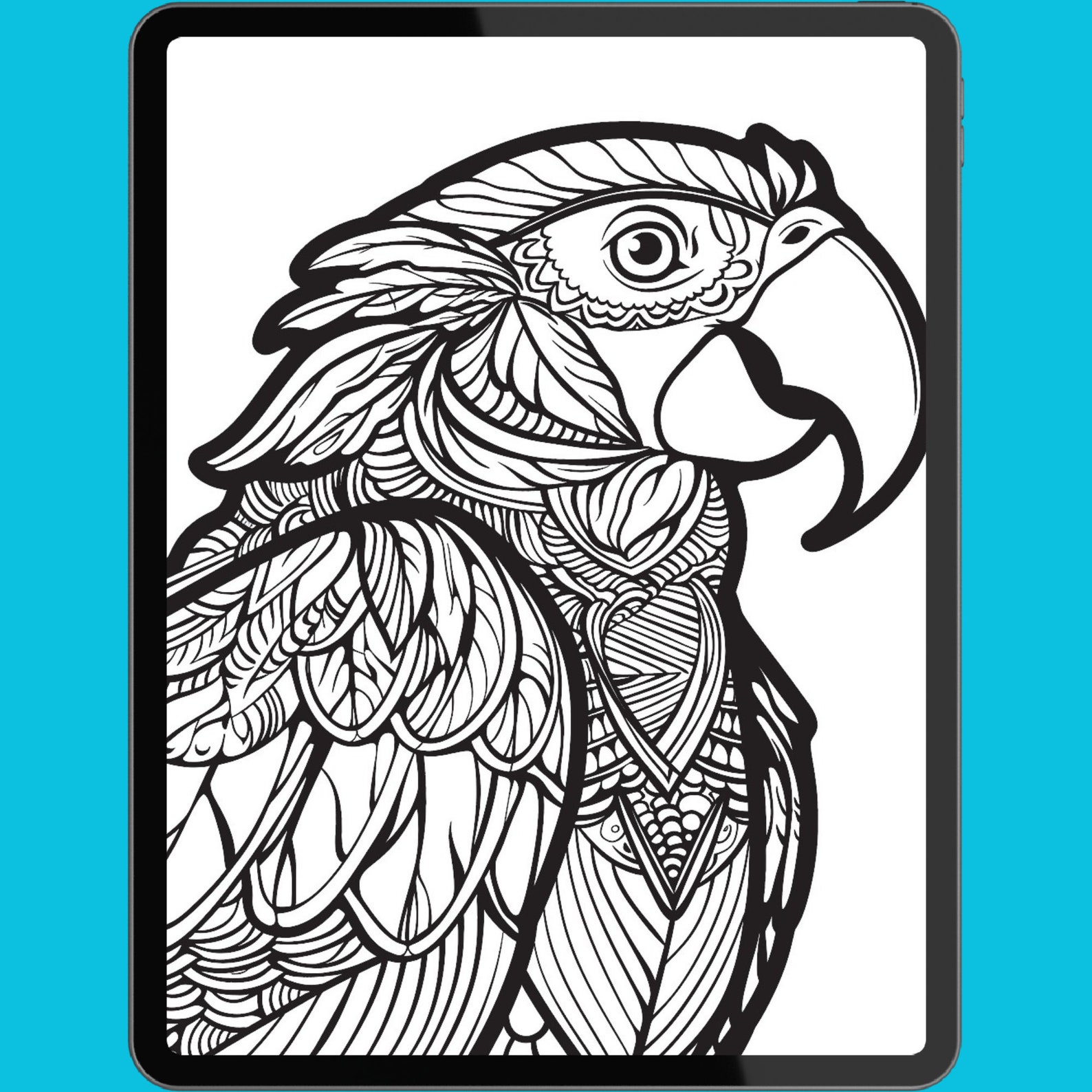 Animal Themed Colouring Pages PDF | 10 Fun Printable Colouring Sheets ...
