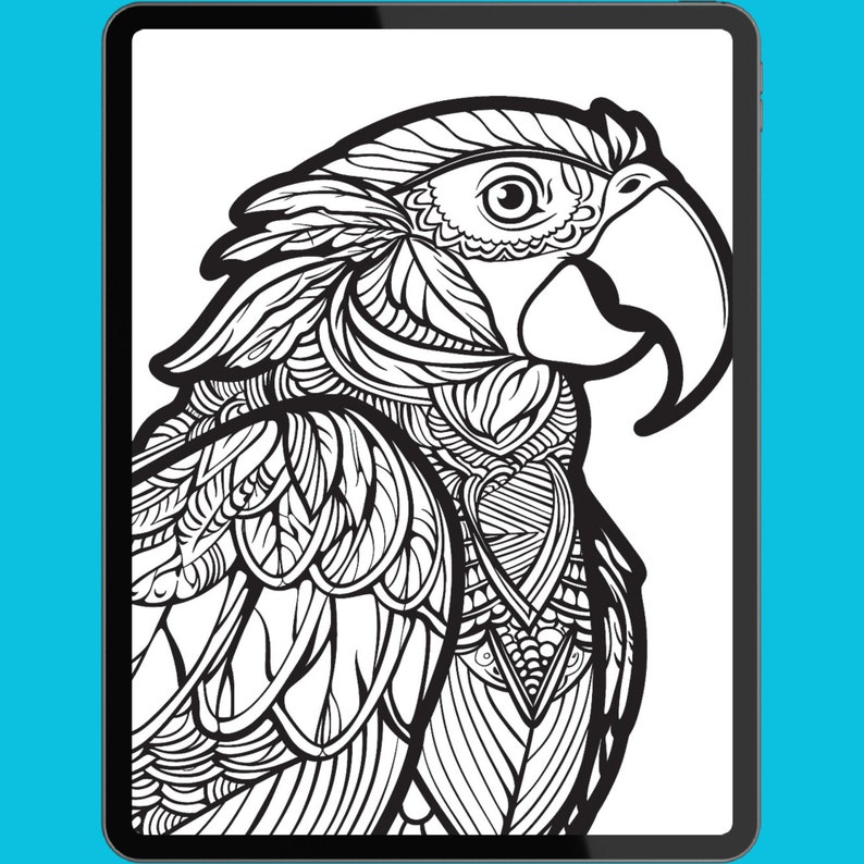 Animal Themed Colouring Pages PDF | 10 Fun Printable Colouring Sheets ...