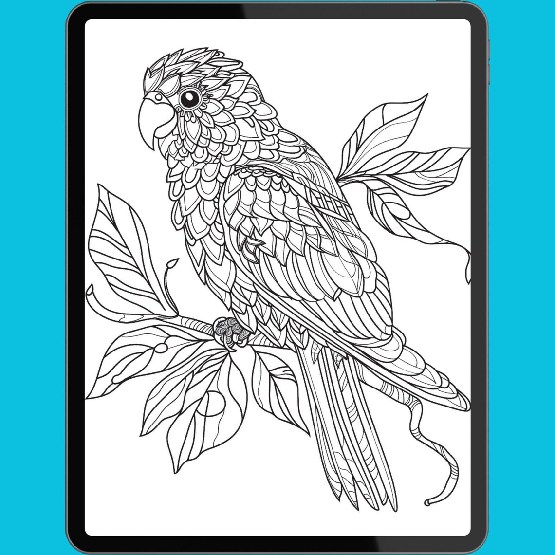 Animal Themed Colouring Pages PDF | 10 Fun Printable Colouring Sheets ...