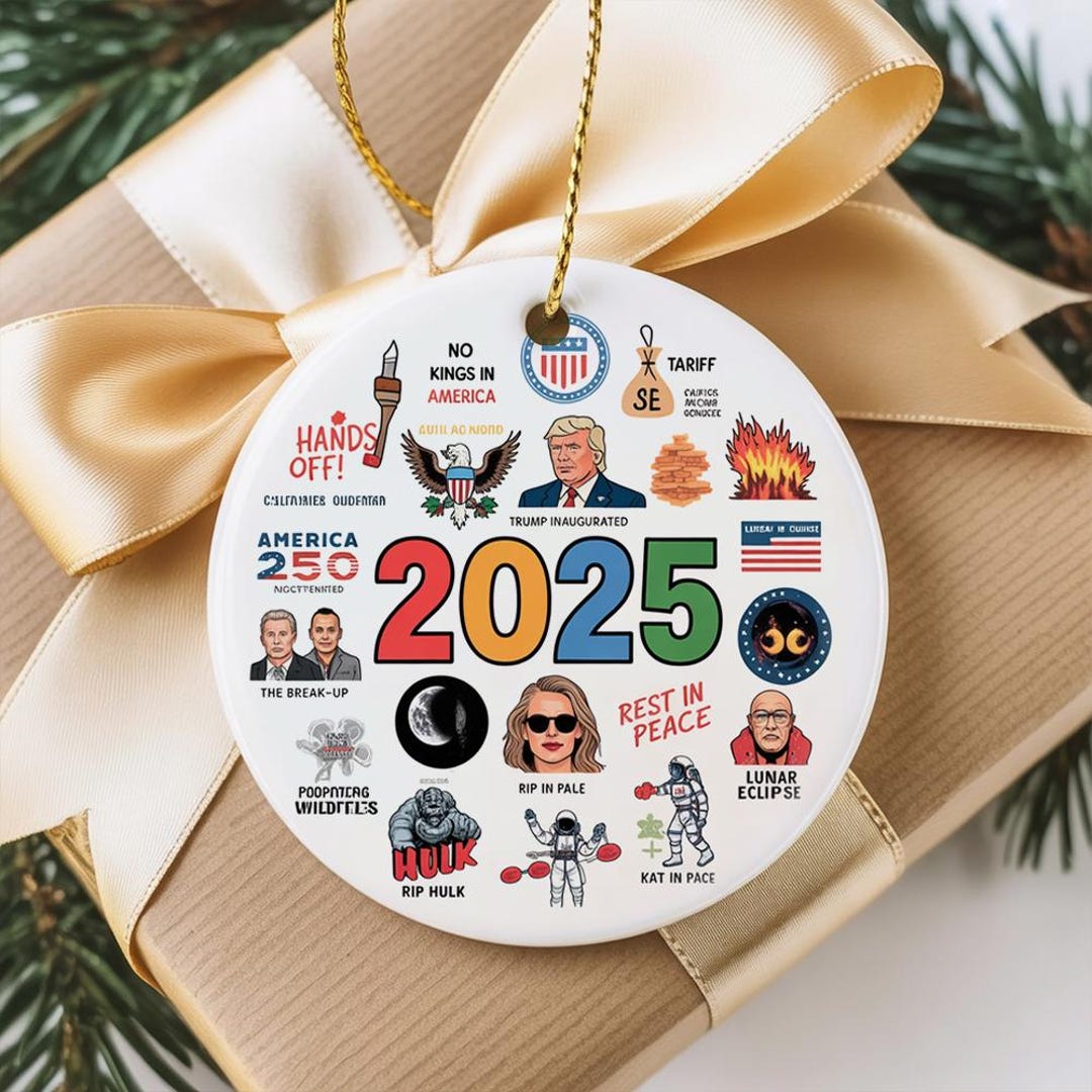 Year in Review Ornament 2025, Funny Political Christmas Tree Decoration ...
