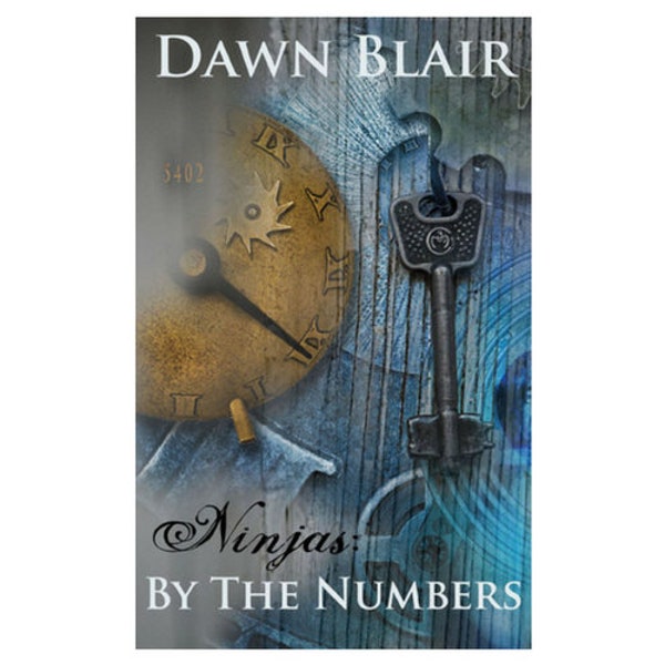 Ninja Numbers - Etsy