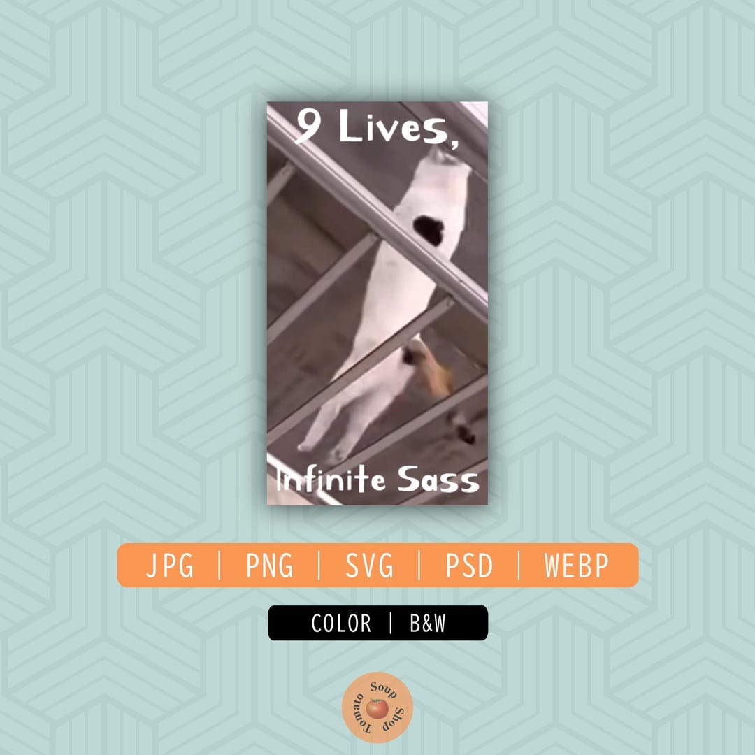 Cat Meme PNG | Funny Cat Design | Fun Kitten PNG | Kitten SVG | Cat ...