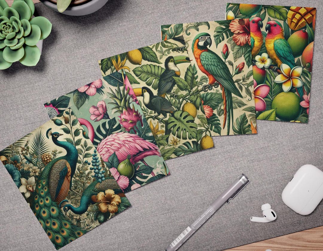 Greeting Card Set, Exotic Bird Cards, Tropical Blank Note Cards ...