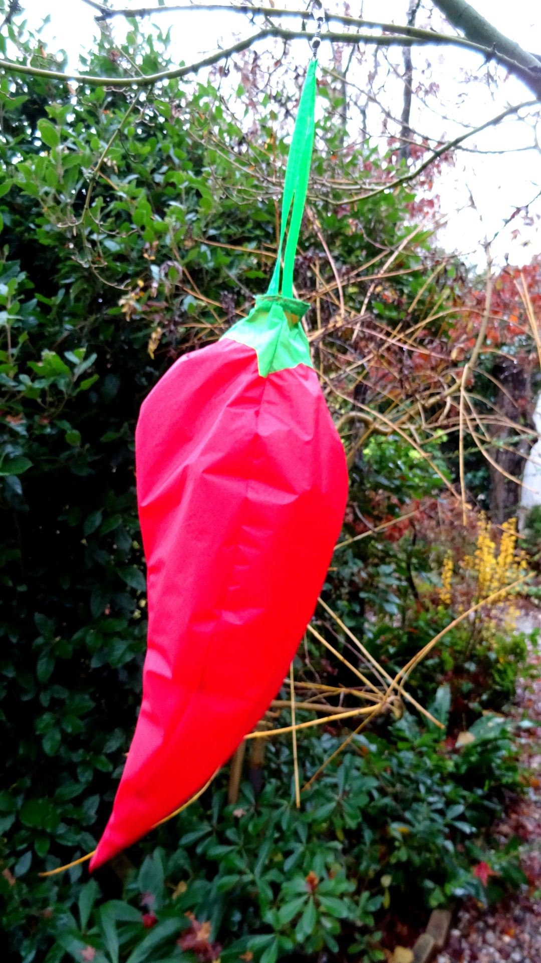 Red Hot Chilli Pepper Windsock - Etsy