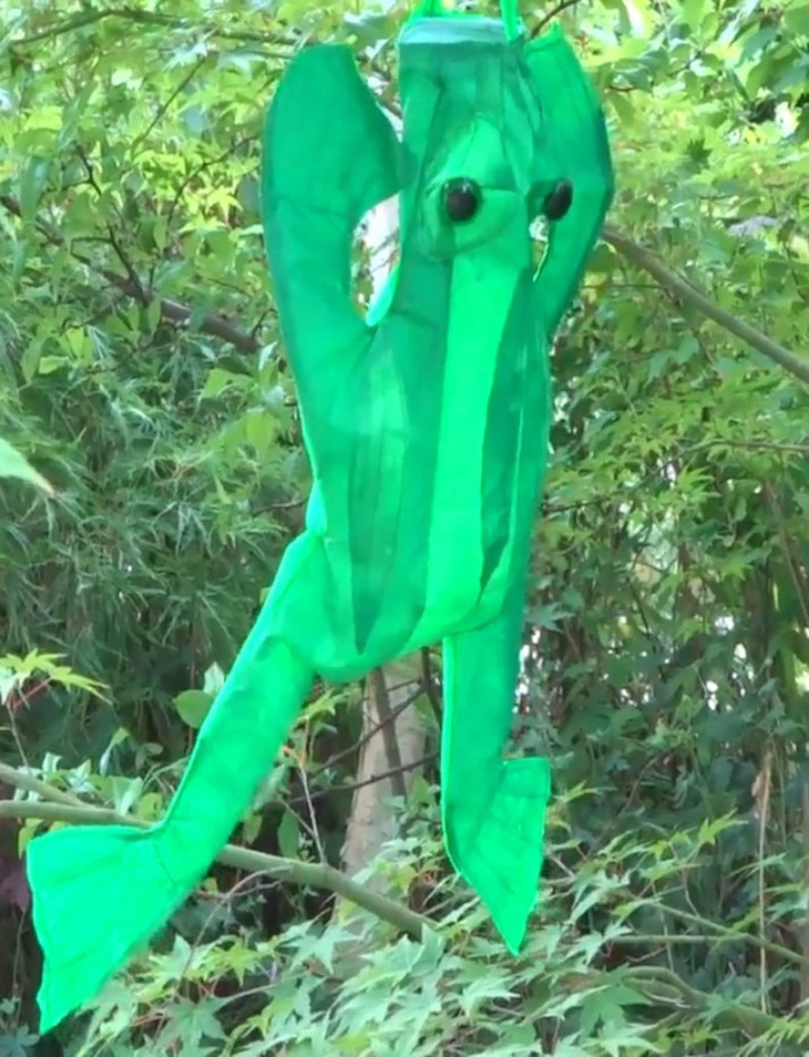 Frog Windsock - Etsy New Zealand