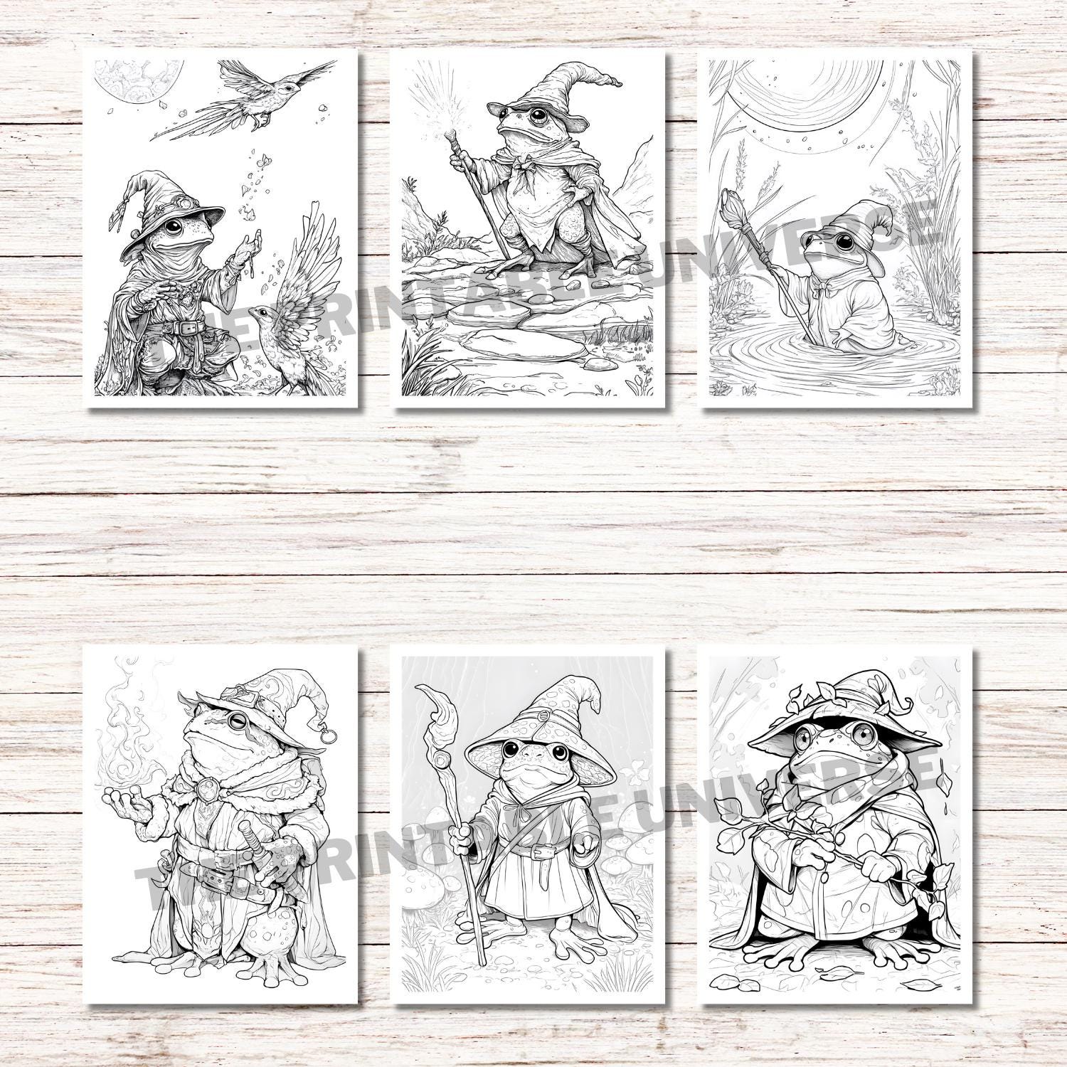 70 Wizard Frogs Coloring Book, Funny Animals Coloring Pages, Fantasy ...