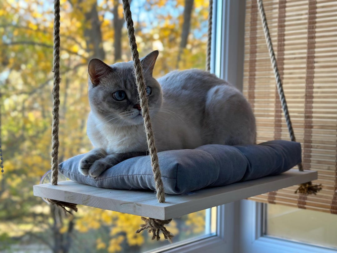 Large Cat Window Perch, Cat Hammock for Larger Cats, Cat Shelves, Cat ...