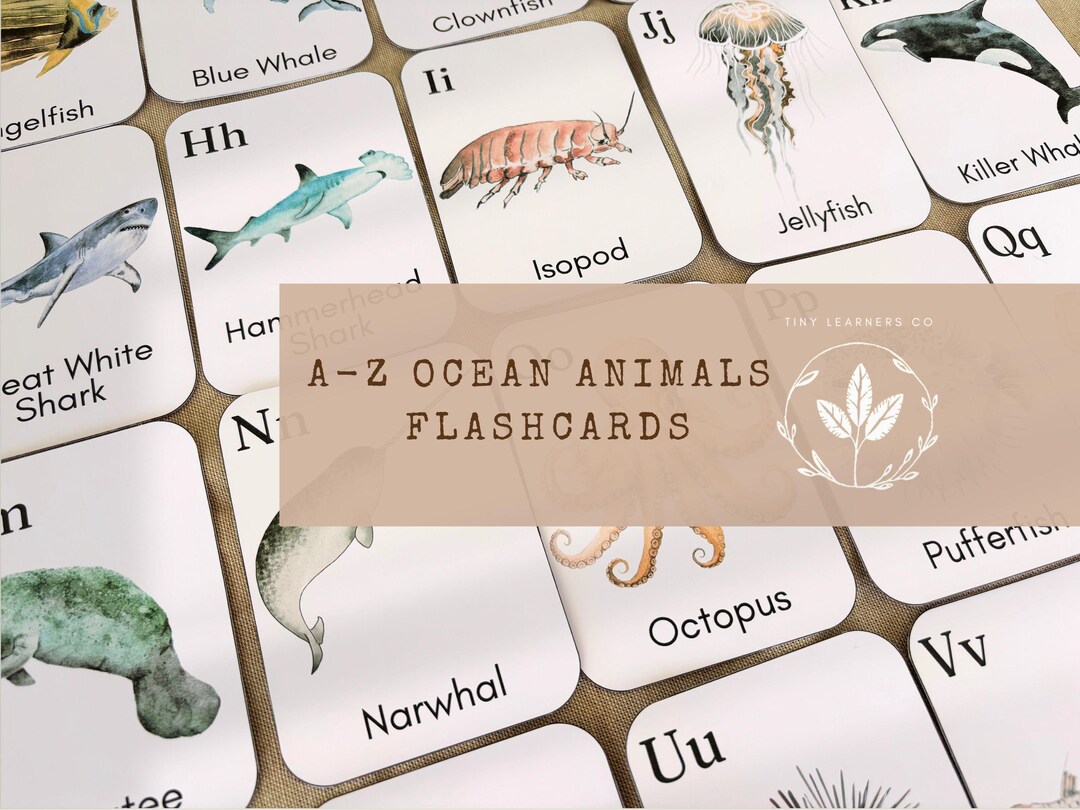 Kids Watercolour Ocean ABC Flashcards | Alphabet Sea Animals ...