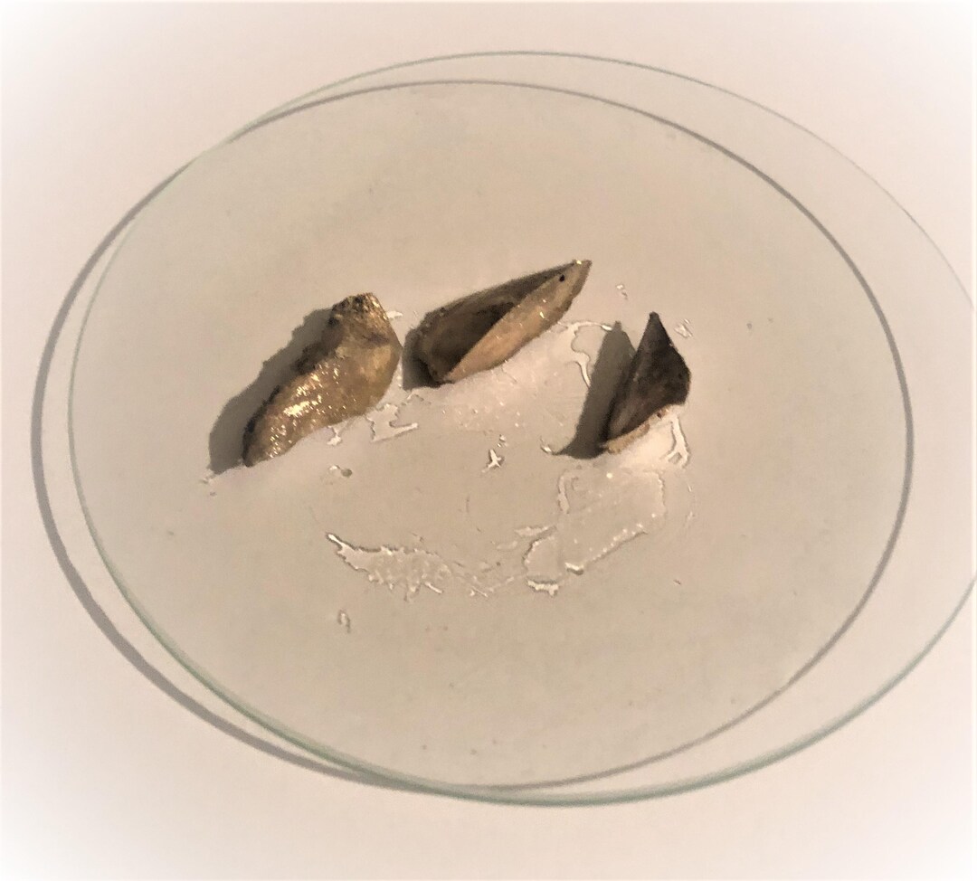 Sodium Metal (na) 99.95% Cas 7440-23-5 - Etsy