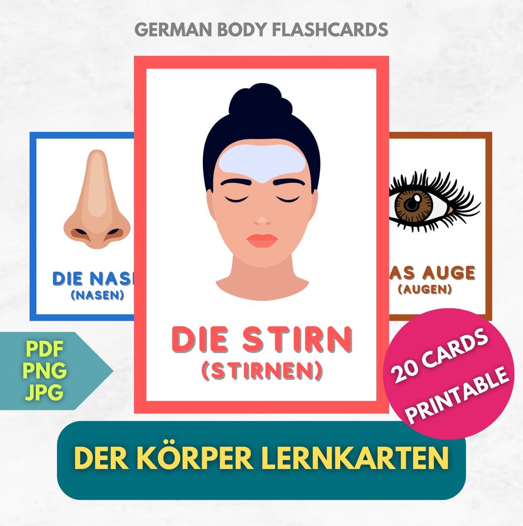 Der Körper body GERMAN Printable Flashcards I Colourful I HIGH QUALITY ...