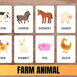 FARM ANIMALS 24 Montessori Cards Flash Cards Nomenclature Flashcards ...