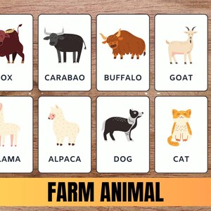 FARM ANIMALS 24 Montessori Cards Flash Cards Nomenclature Flashcards ...