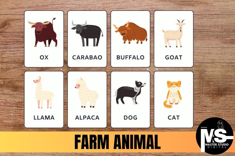 FARM ANIMALS 24 Montessori Cards Flash Cards Nomenclature Flashcards ...