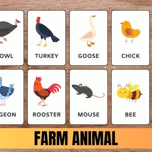 FARM ANIMALS 24 Montessori Cards Flash Cards Nomenclature Flashcards ...