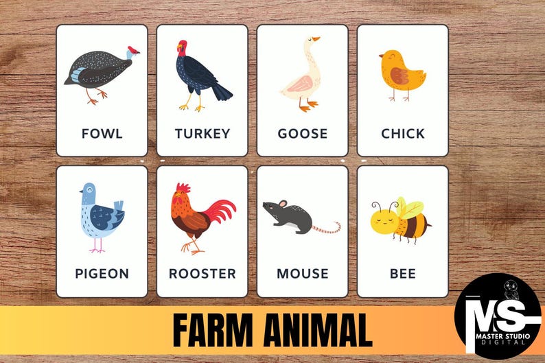 FARM ANIMALS 24 Montessori Cards Flash Cards Nomenclature Flashcards ...