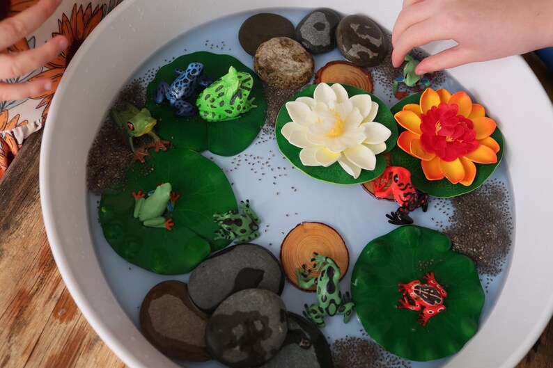 The Frog Pond Sensory Kit | Sensory Play Kit | Montessori Play Kit ...