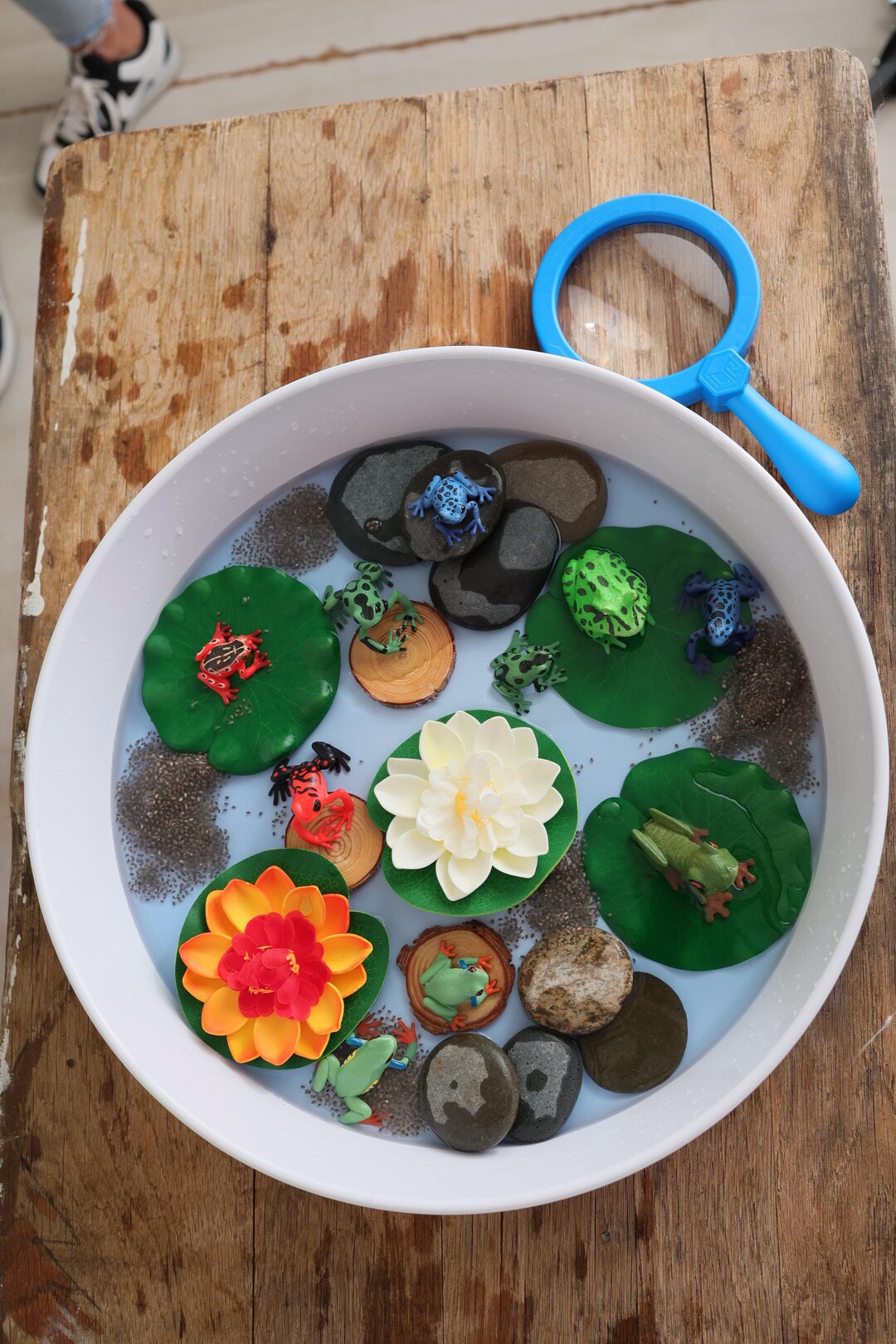 The Frog Pond Sensory Kit | Sensory Play Kit | Montessori Play Kit ...
